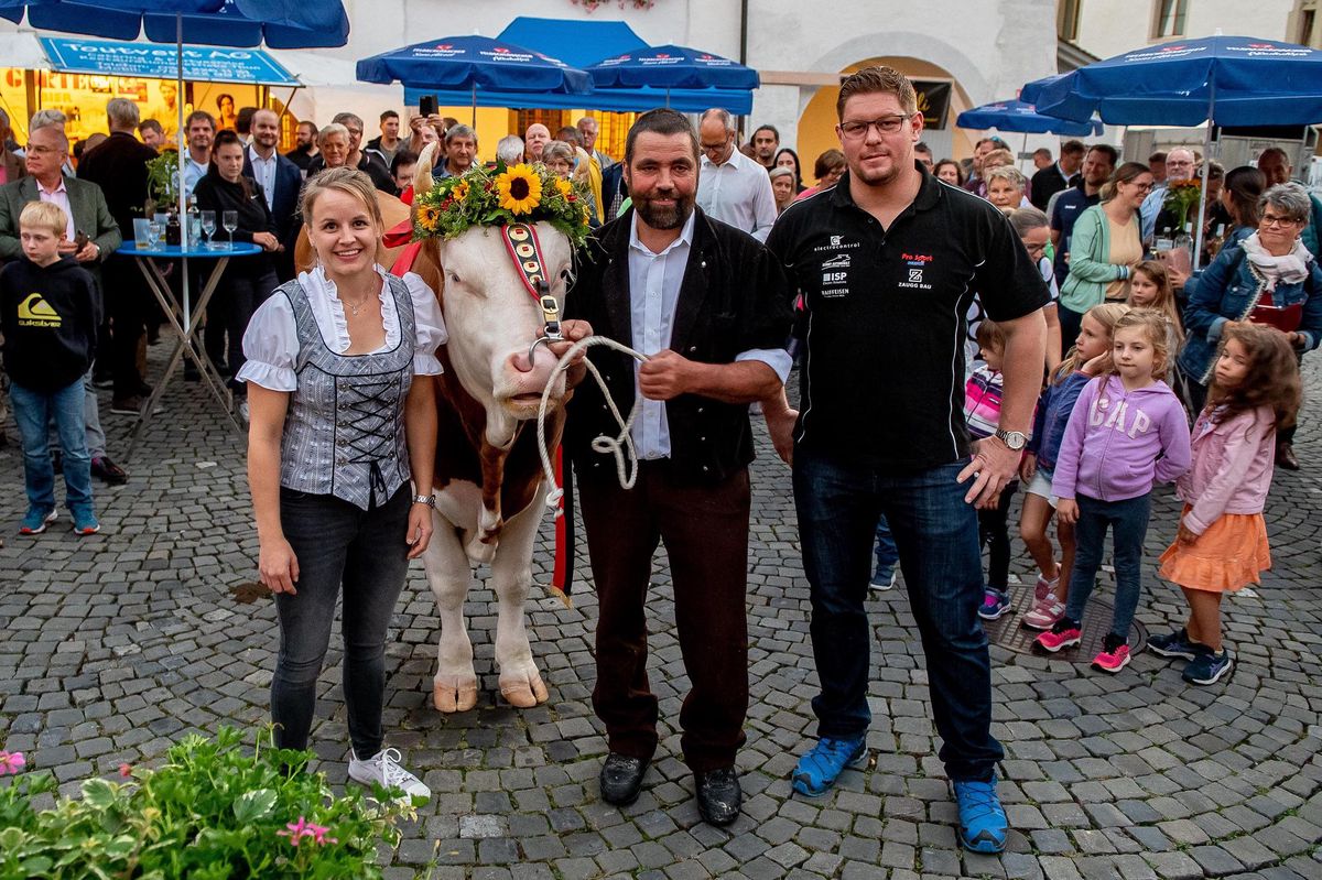 Bernisch-Kantonales Schwingfest 2022 - Siegermuni Alan ist bereit für ...