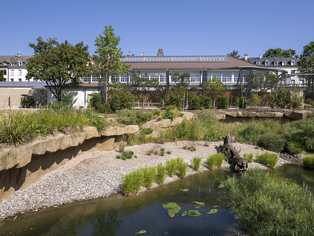 Basler Zoo mit Gewinn von 95'000 Franken | Basler Zeitung