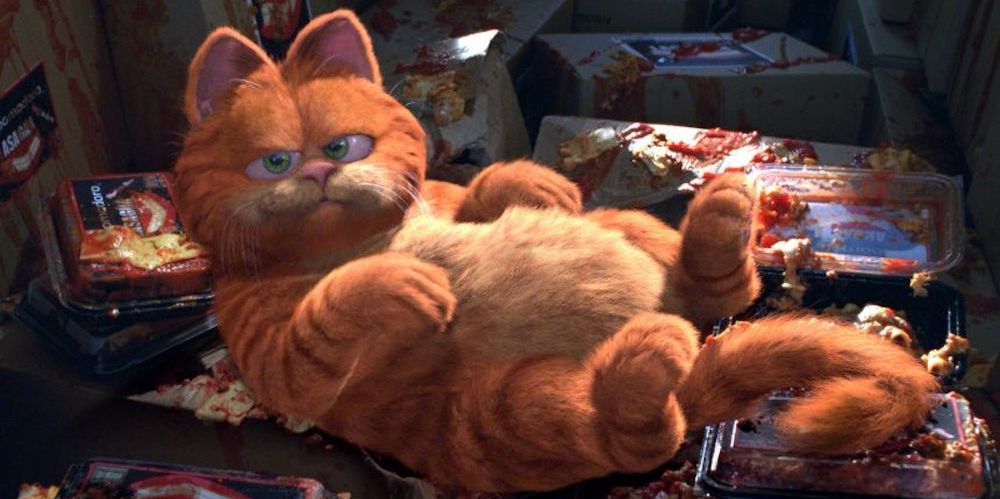 Orange Katzen: Das macht sie so besonders