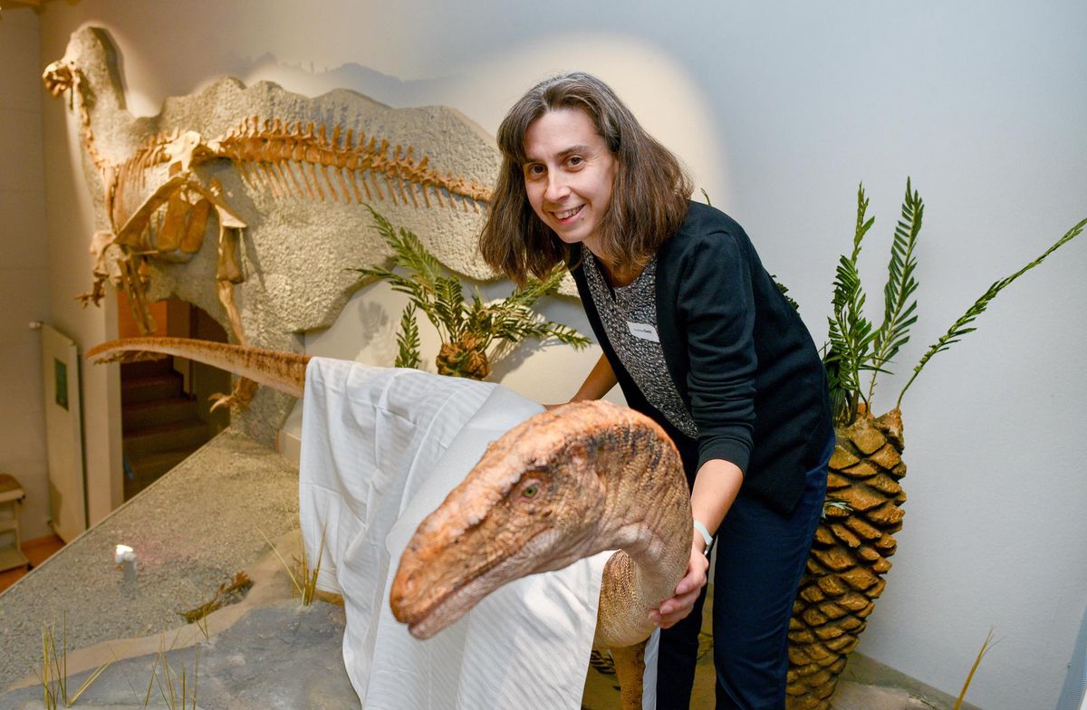 30 Jahre Sauriermuseum Frick – Der Tod kam im Schlamm | Basler Zeitung