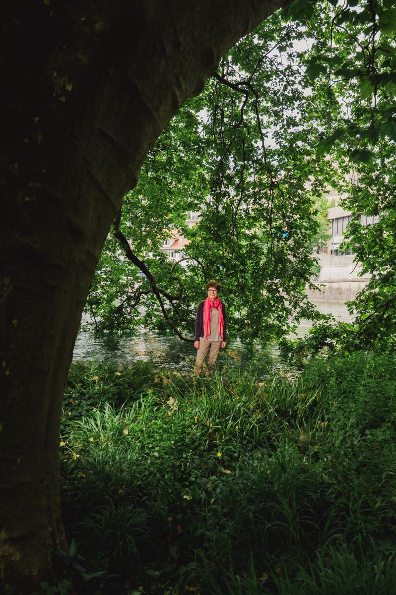 Gärten & Parks: «Ganze Baumarten drohen zu verschwinden» | Basler Zeitung