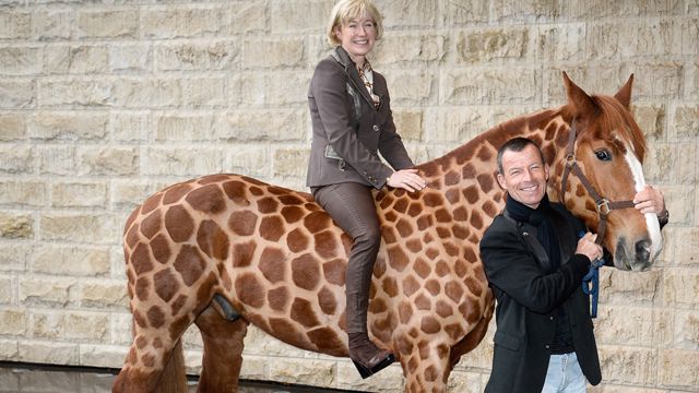 Jessica Kürtens letzter Ritt im Tanzsaal | Tages-Anzeiger