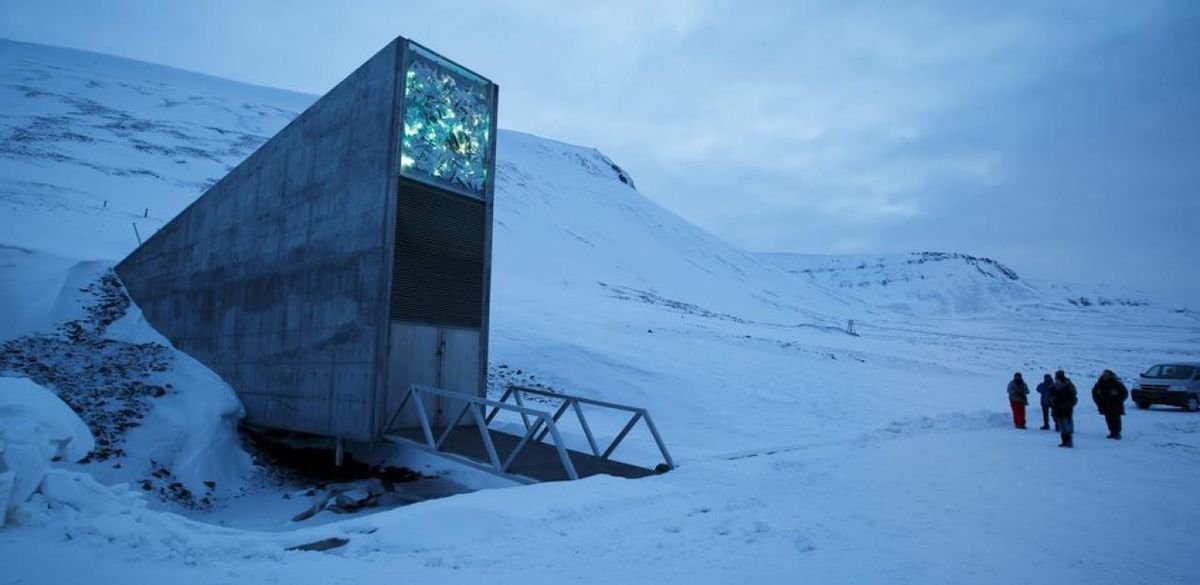 Global Seed Vault – Von wegen sicher – der Welt-Samen-Bunker leckt - L ...