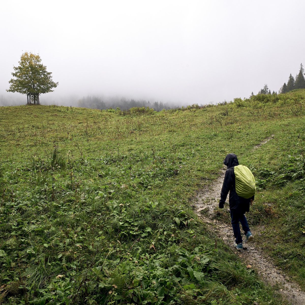Freiluftoasen mitten in der Natur: Fünf geniale Camping­plätze in der ...