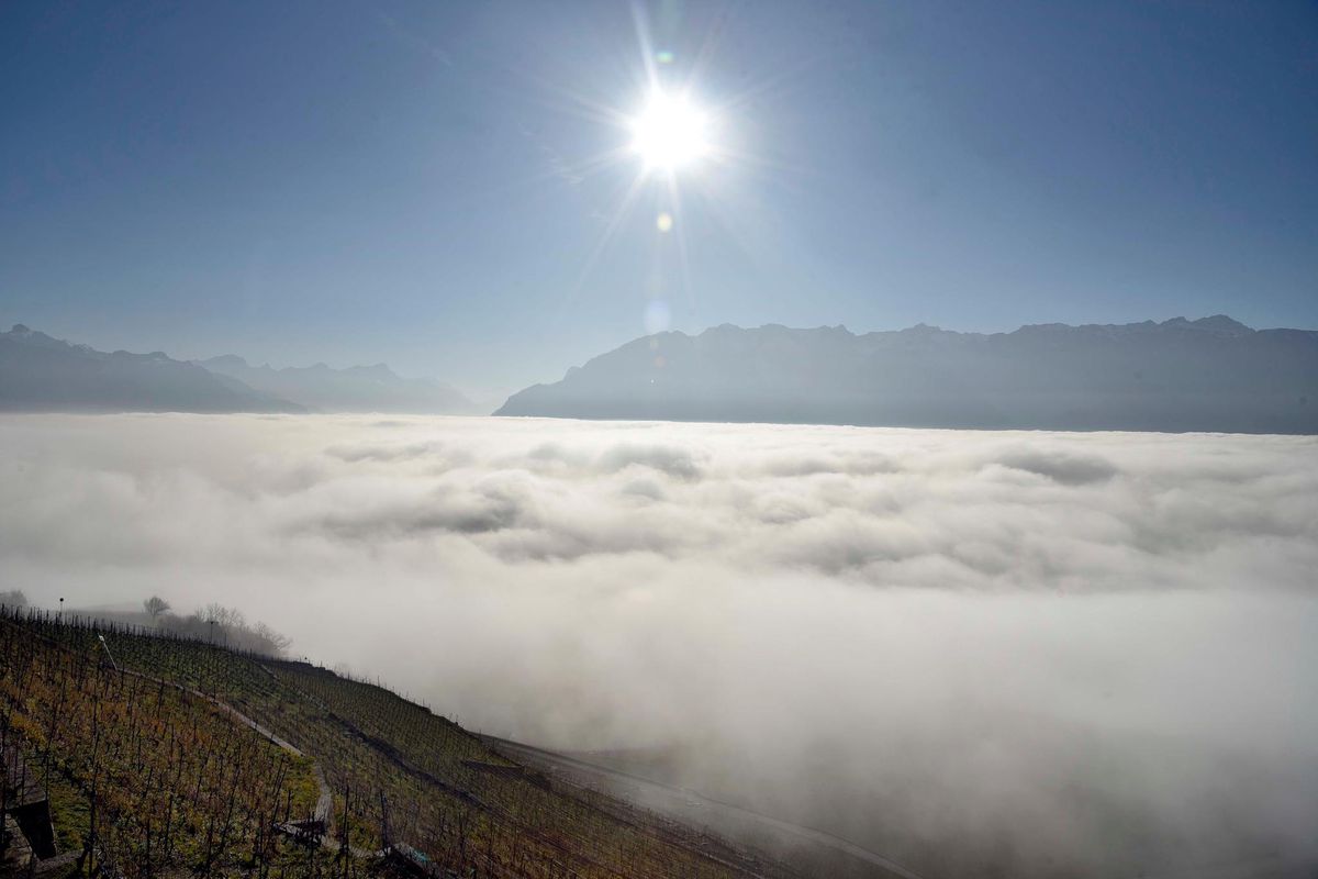 Œnotourisme à Lavaux – Aran apporte son Diamant Vert à l’édifice | 24 ...