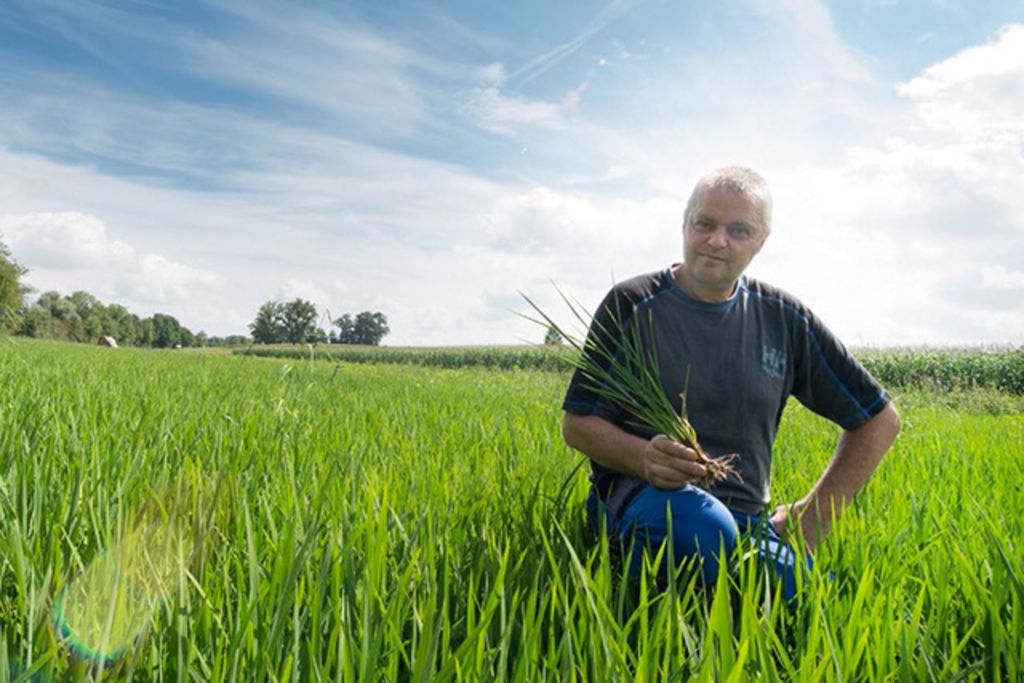 Der nördlichste Reisbauer der Welt | Der Bund
