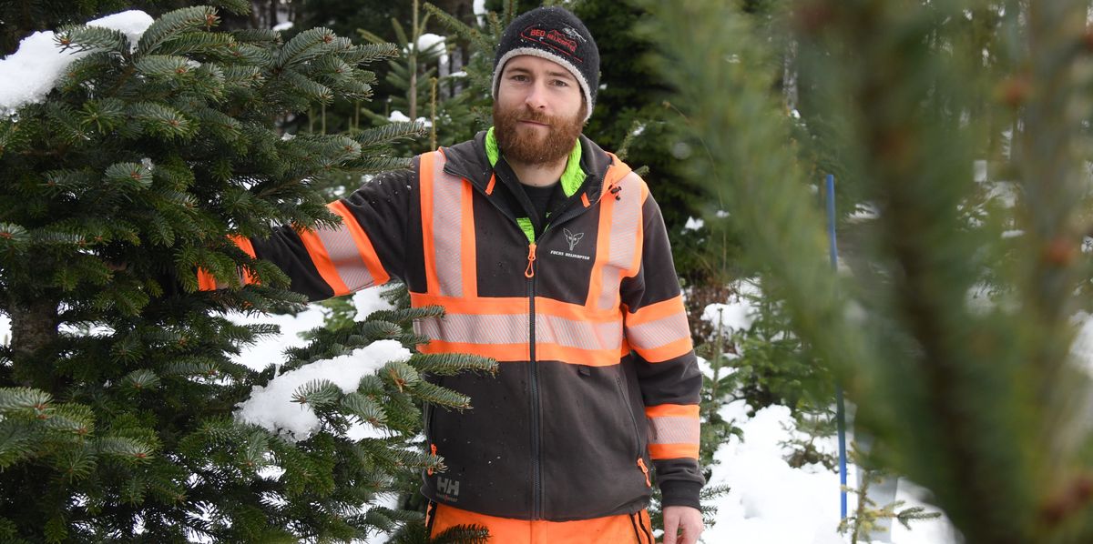 Rubrik «Menschen in der Region»: Förster Gisler fällt an Weihnachten ...