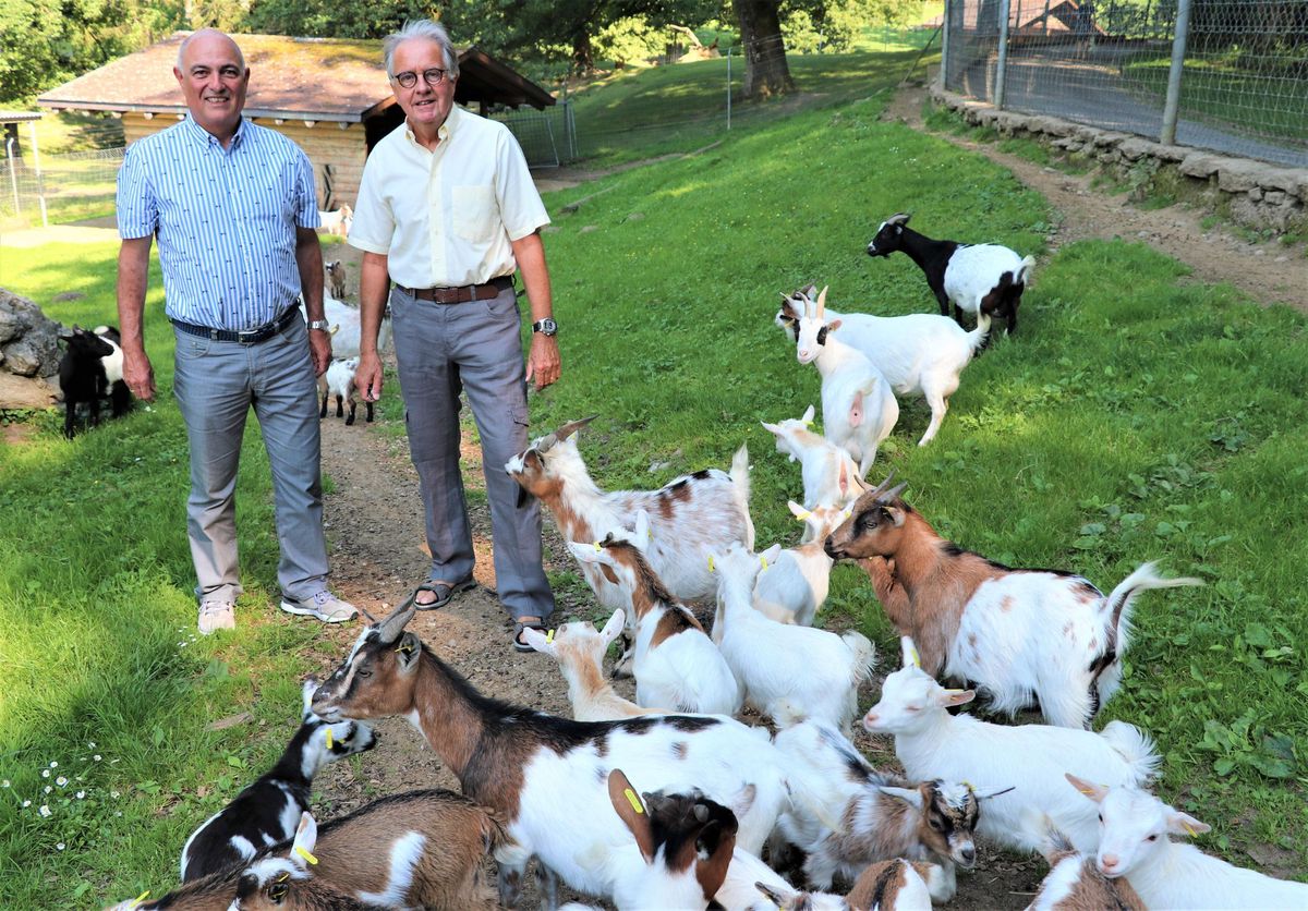 Ein frisches Gesicht für den Verein | Berner Zeitung