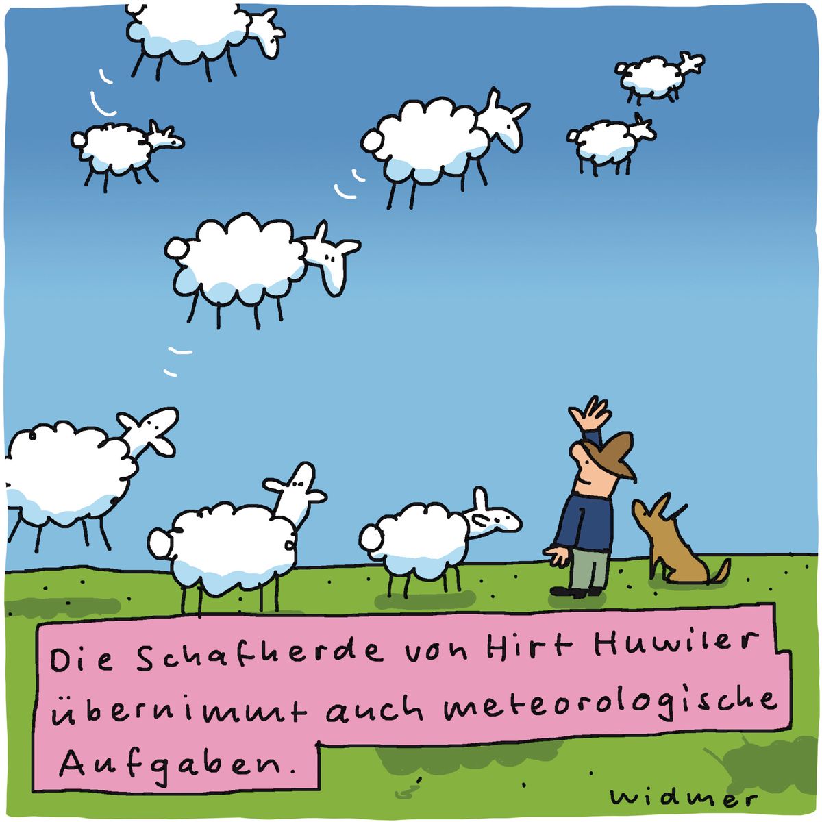 Wahl der Woche (62) von «Das Magazin»: Schaf oder Ziege? | Tages-Anzeiger