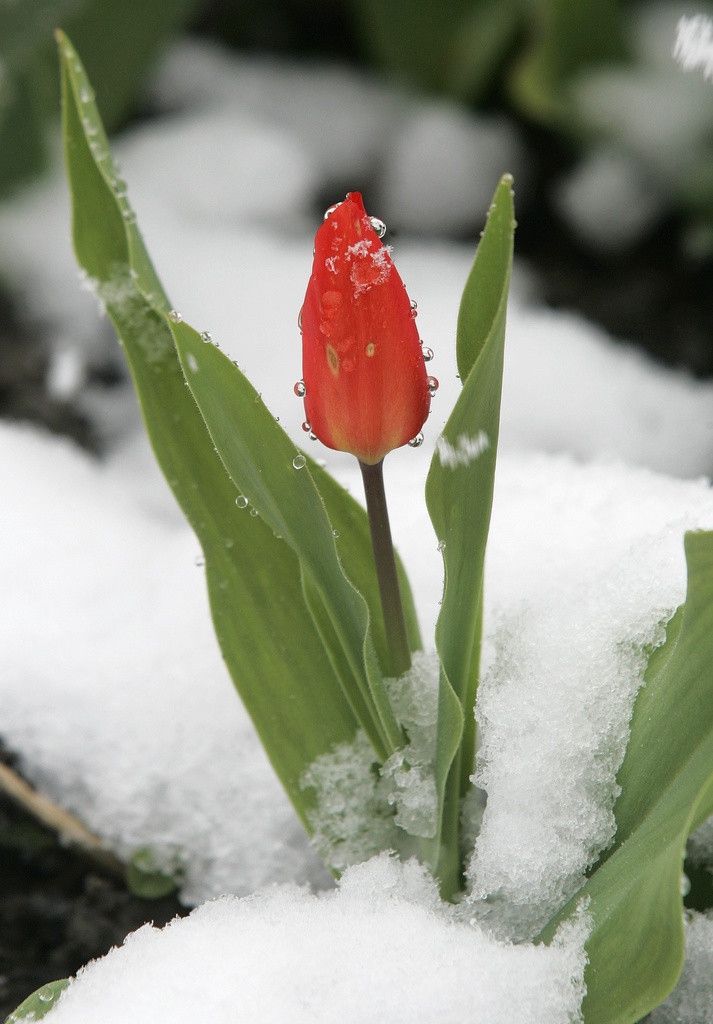 Smalltalk der Woche: Michelle Hunziker hat einen Neuen | Basler Zeitung