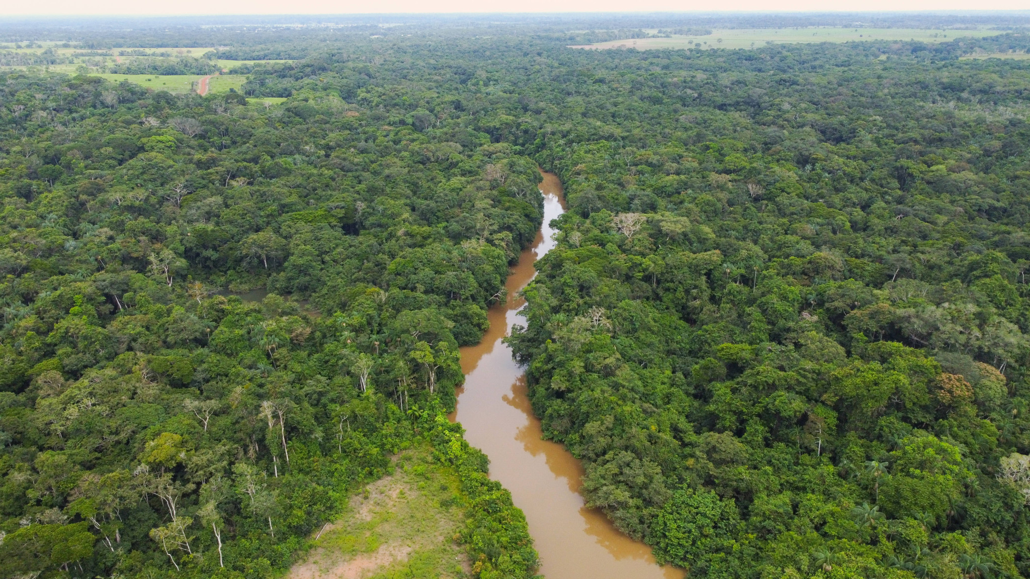 Kolumbien: Luftangriff tötet sieben Kinder im Rebellengebiet | Tages ...