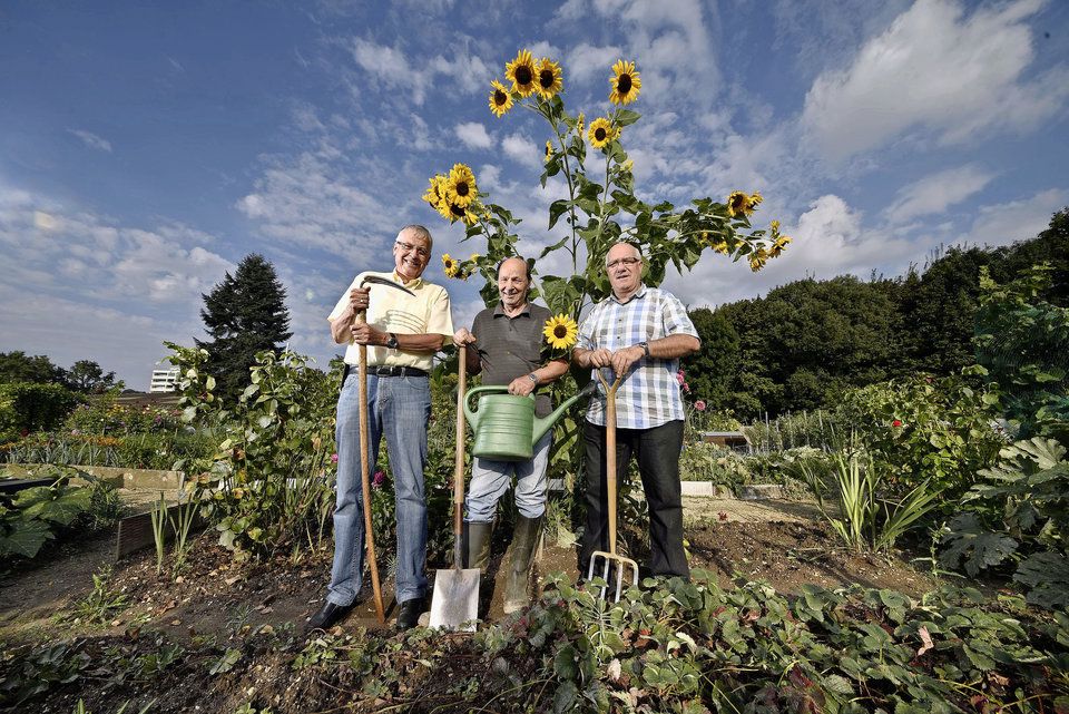 Les logements des athlètes olympiques sonnent le glas des jardins ...