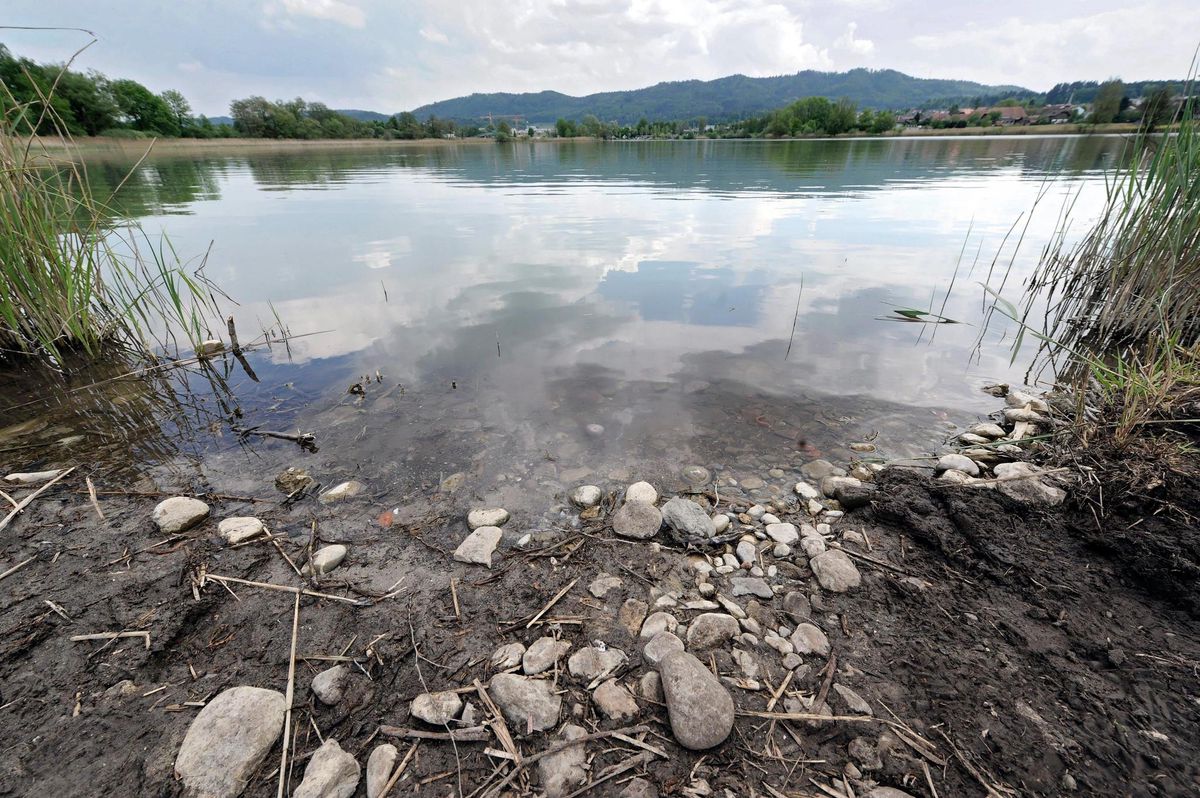 Nutzungsrechte für den Moossee - Ein Ja mit einem Beigeschmack | Berner ...