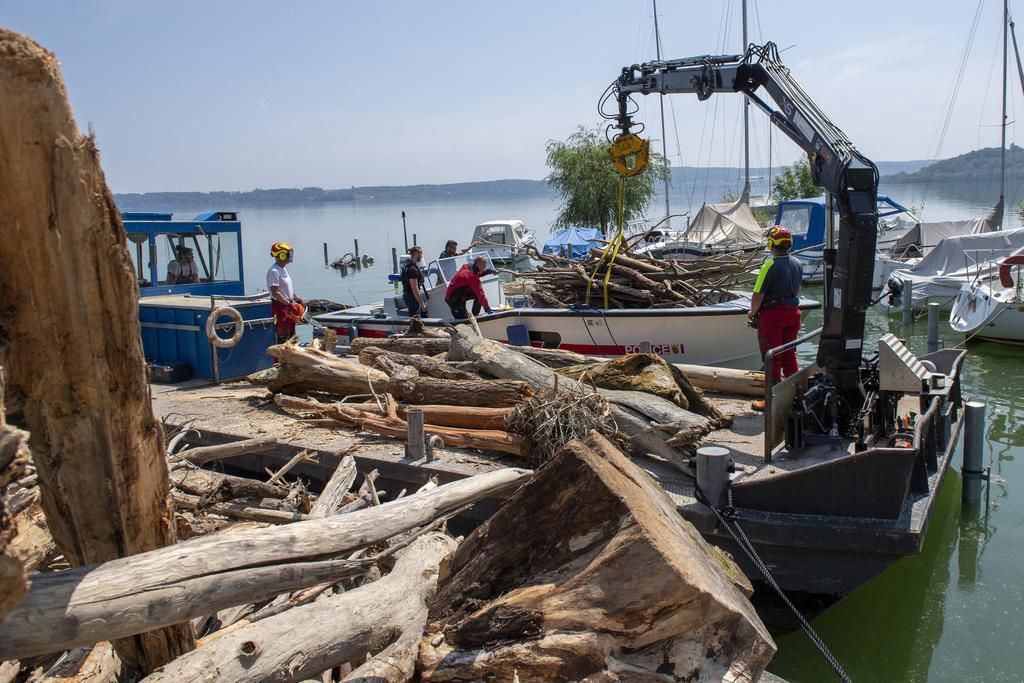 Météo exécrable - Le lac de Bienne gorgé de bois flottants | 24 heures