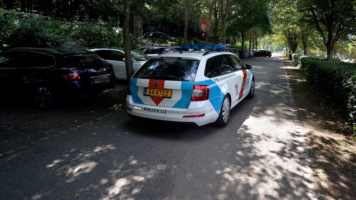 Au Luxembourg: Un cadavre retrouvé dans la forêt à Howald - L'essentiel
