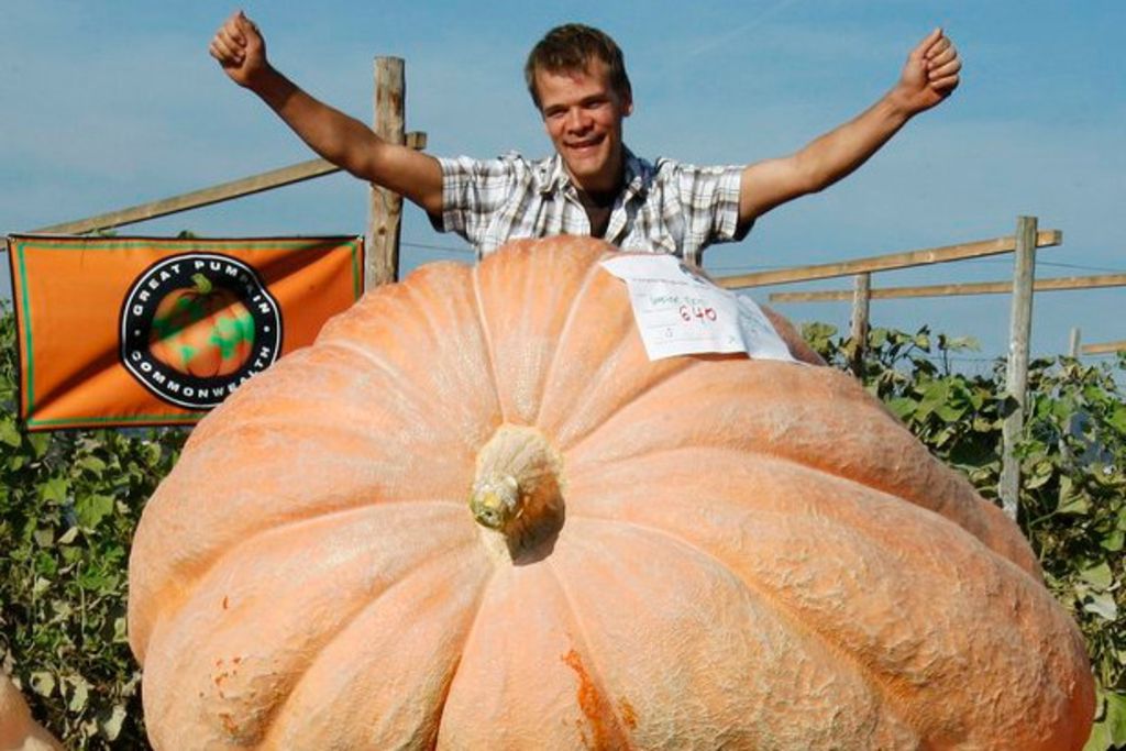 Pfungen (ZH): Un Zurichois récolte la plus grosse courge de Suisse - Le ...