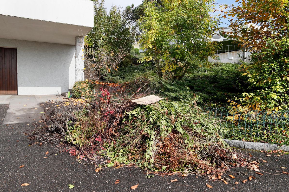 Ärger in Nürensdorf: Wenn der Haufen für den Häckselservice über Nacht ...