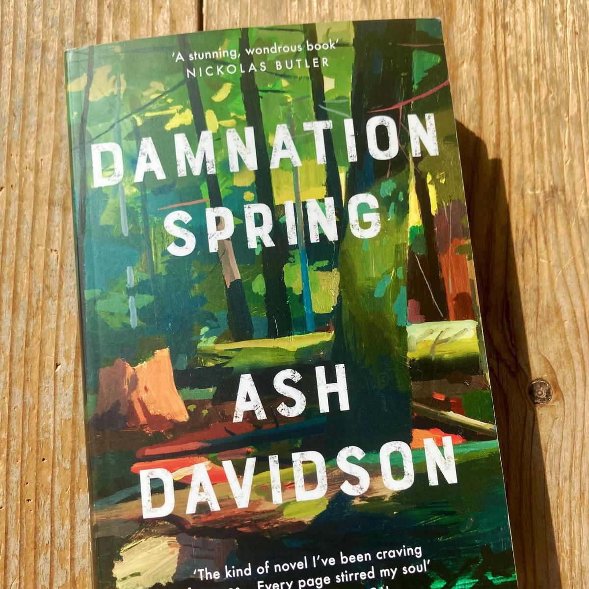 Was wir lesen – Ash Davidson: «Damnation Spring» | Der Bund