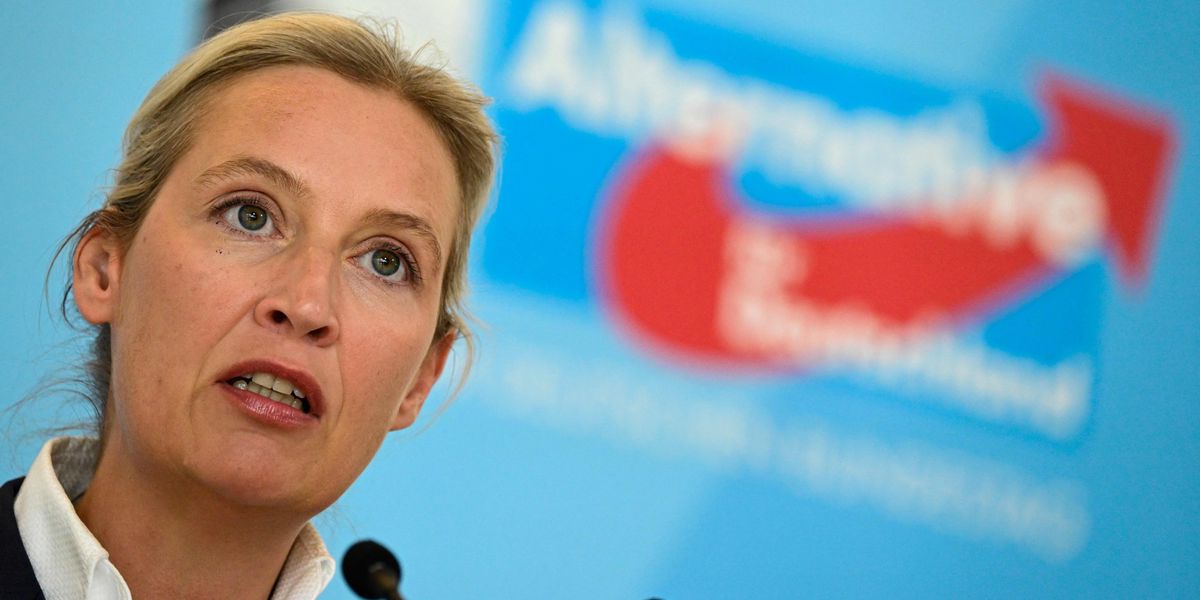 Deutschland: AfD-Gutachten ist geheim. Weshalb eigentlich? | Tages-Anzeiger