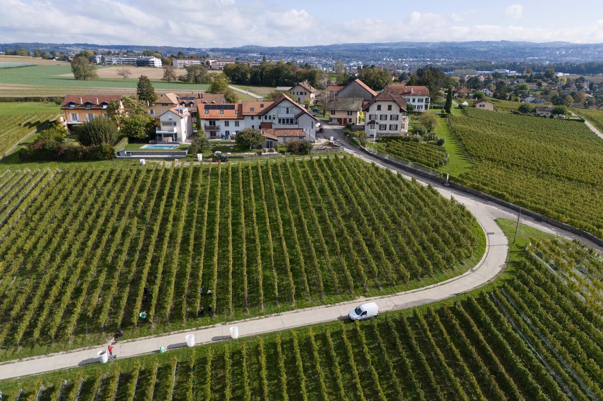 Échandens: L’achat du domaine viticole tourne au bras de fer financier ...