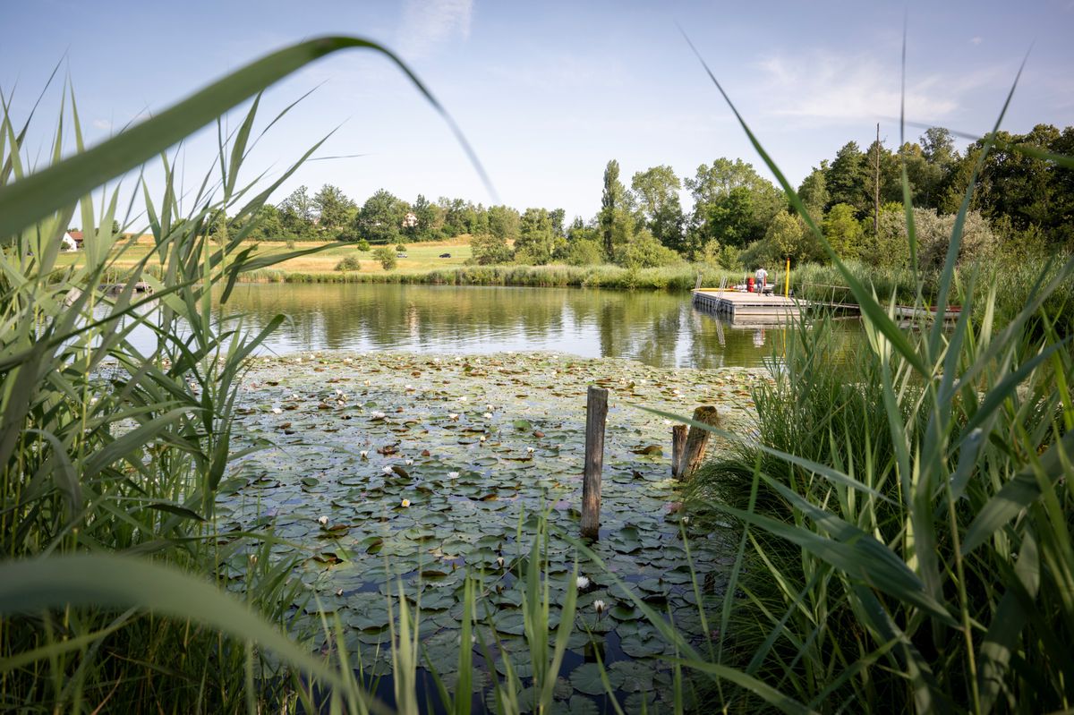 Ausflugstipp: Das sind die schönsten Badis am Zürichsee | Tages-Anzeiger