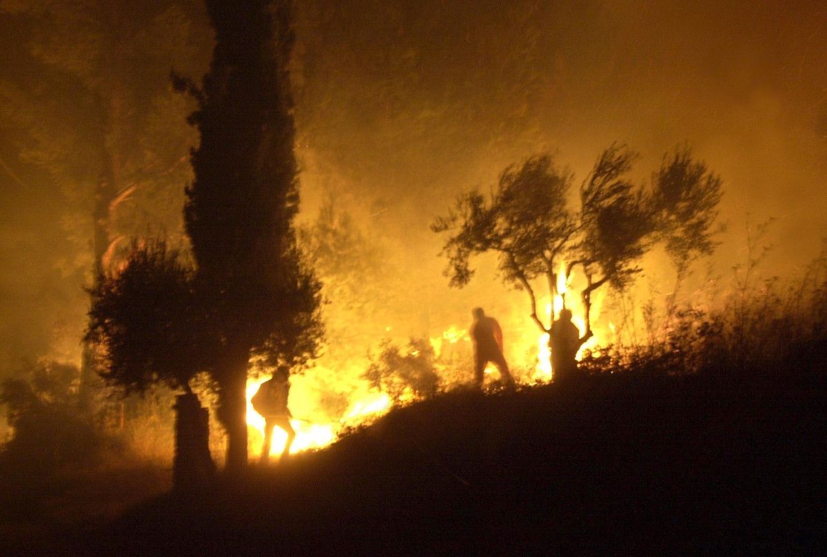 Behörde in Sissach warnt: Achtung, Waldbrandgefahr! | Basler Zeitung