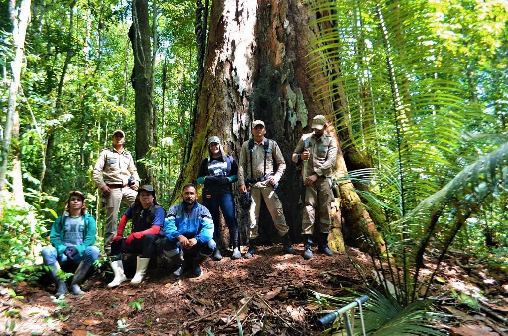 Haut comme un immeuble de 25 étages: Des scientifiques atteignent le ...