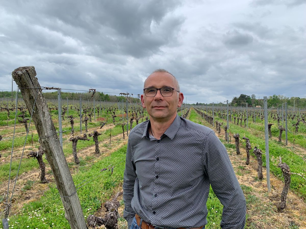 Wein-Boom am Ende: Bordeaux hat ein Image­problem – jetzt vernichten ...