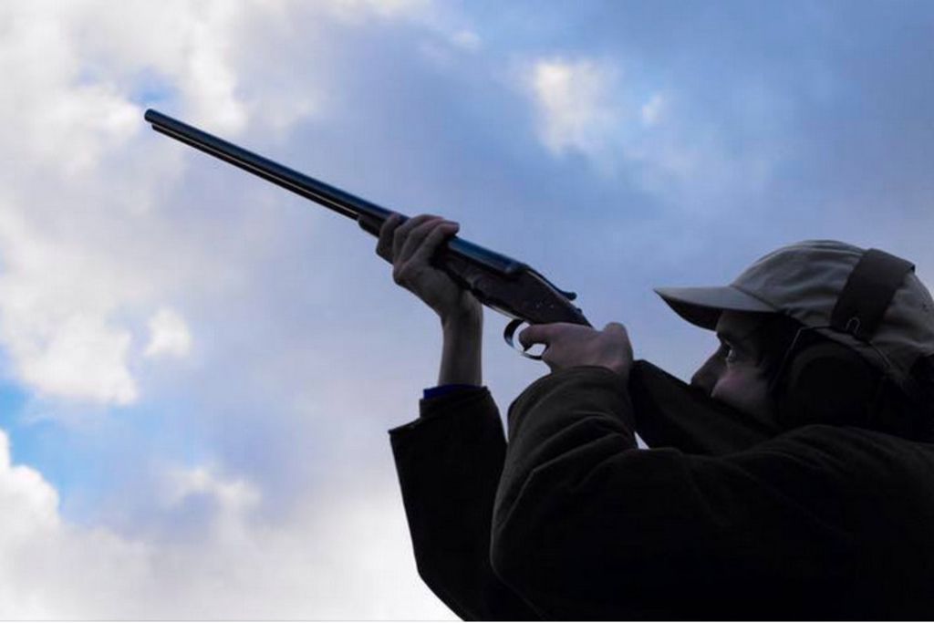 «Schiessen Sie nicht auf Irma» | Berner Zeitung