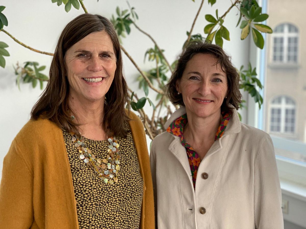 Thun – Oberland – Bern – Pfander übergibt an Dettwiler | Berner Zeitung