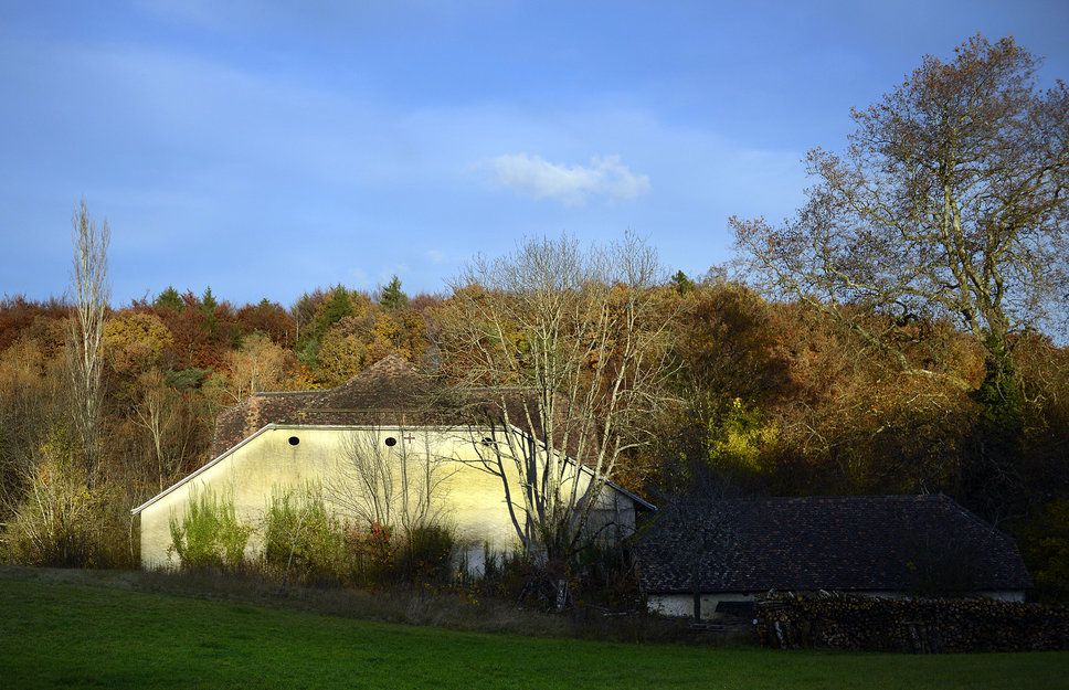 Une fondation pour pérenniser le Bois de Chênes de Genolier | 24 heures