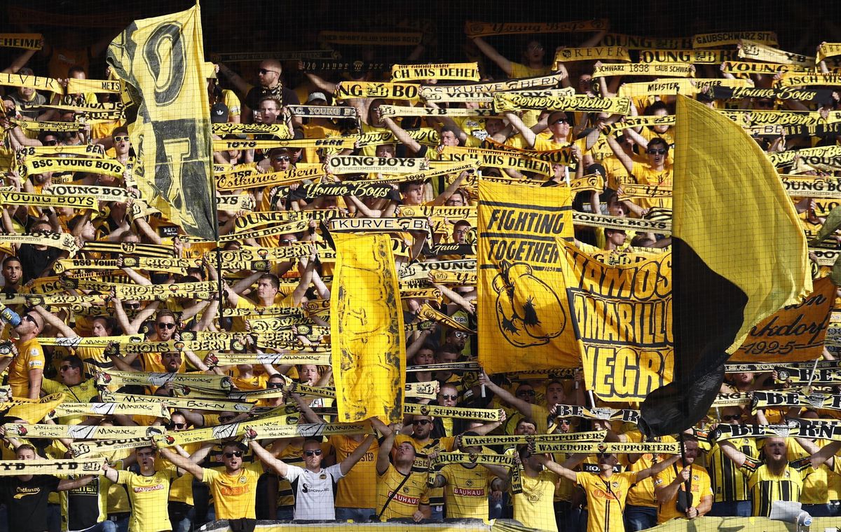 BSC Young Boys | Der Bund