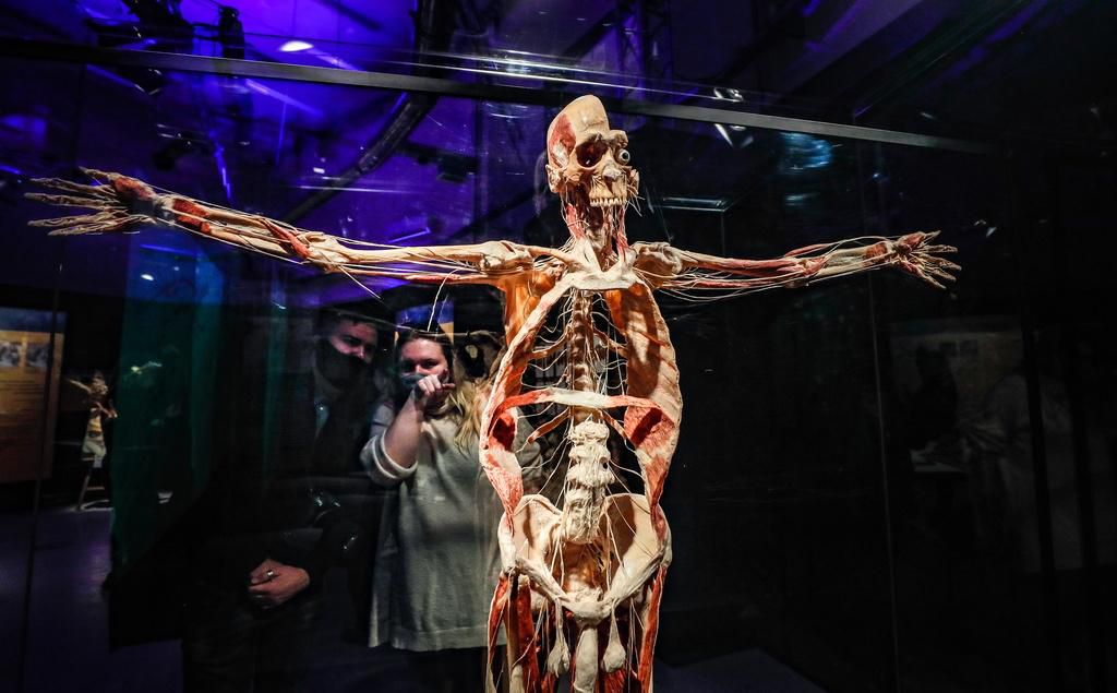 L’exposition de cadavres humains visée par une investigation | Tribune ...