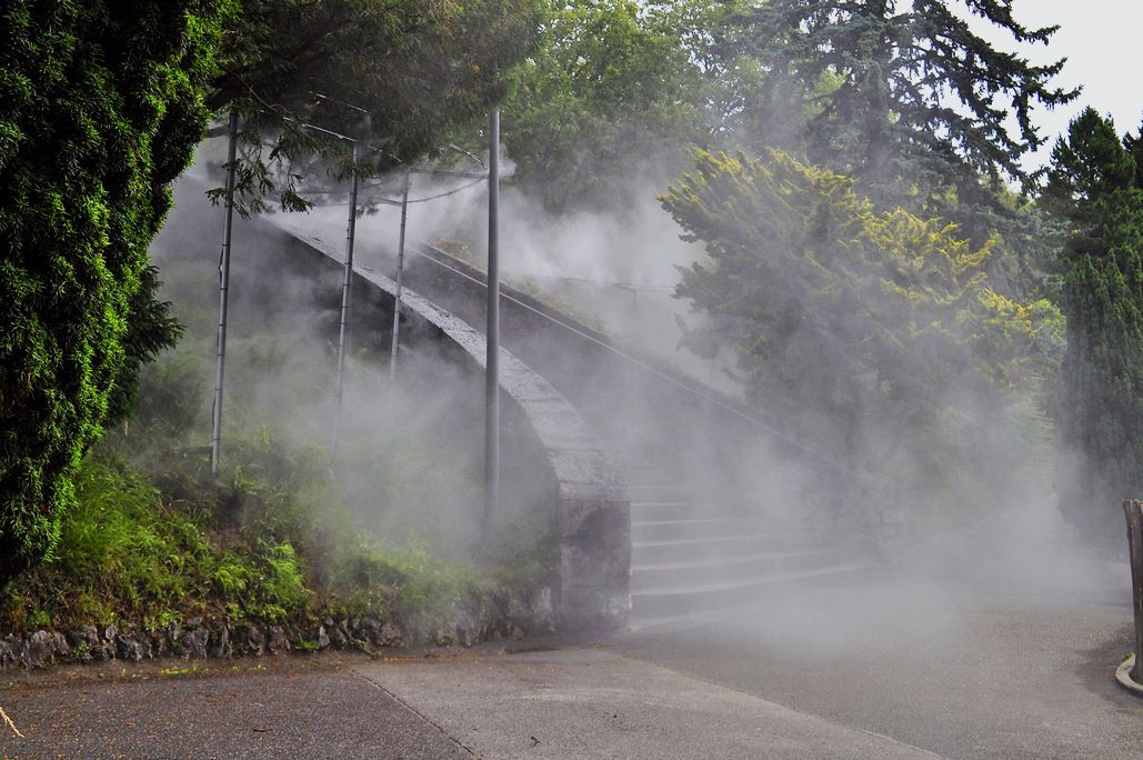 À la promenade Jean-Jacques Mercier, la nature convoque Ovide | 24 heures