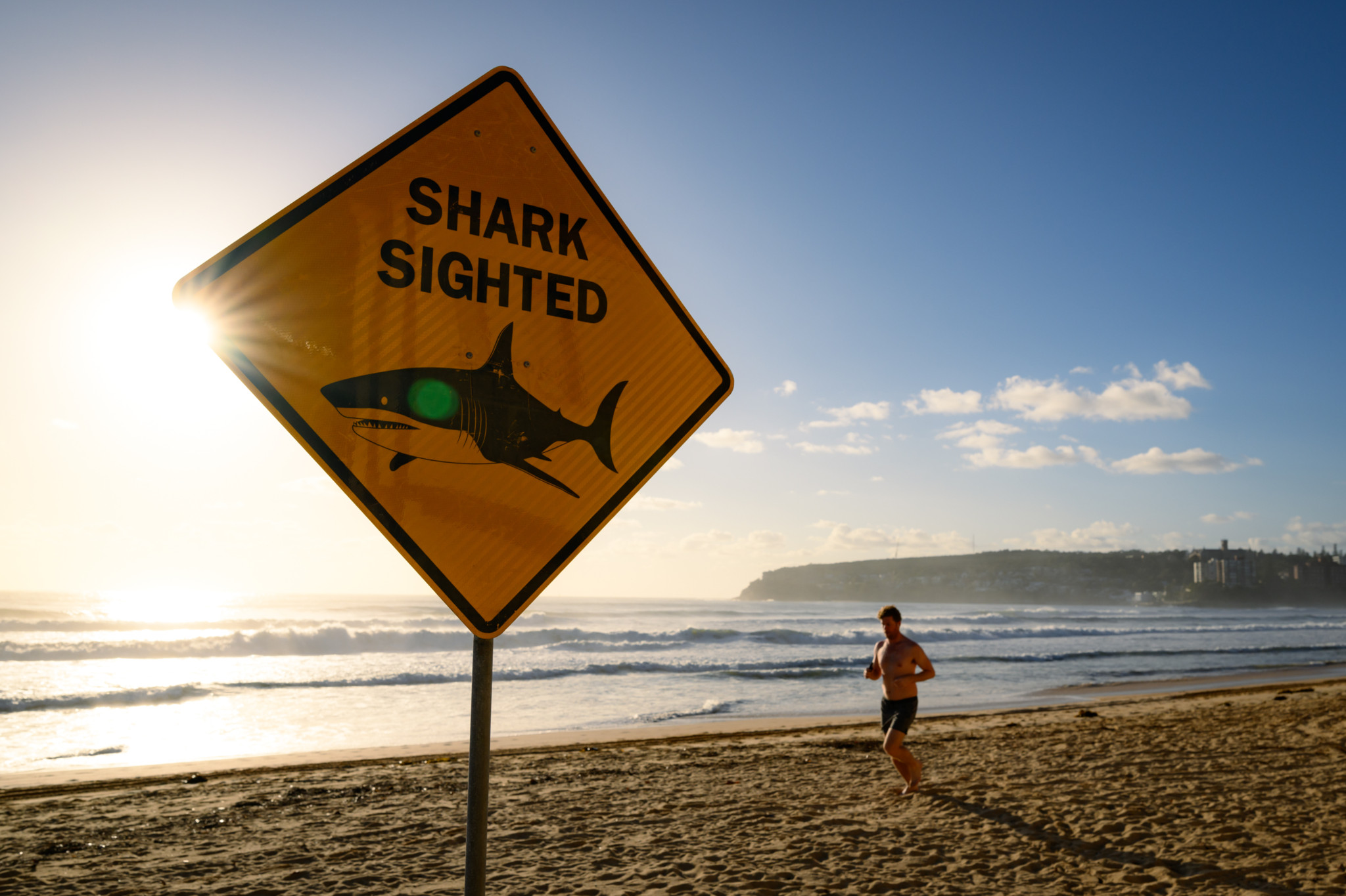 Requin: un enfant de 12 ans meurt après une attaque à Sydney