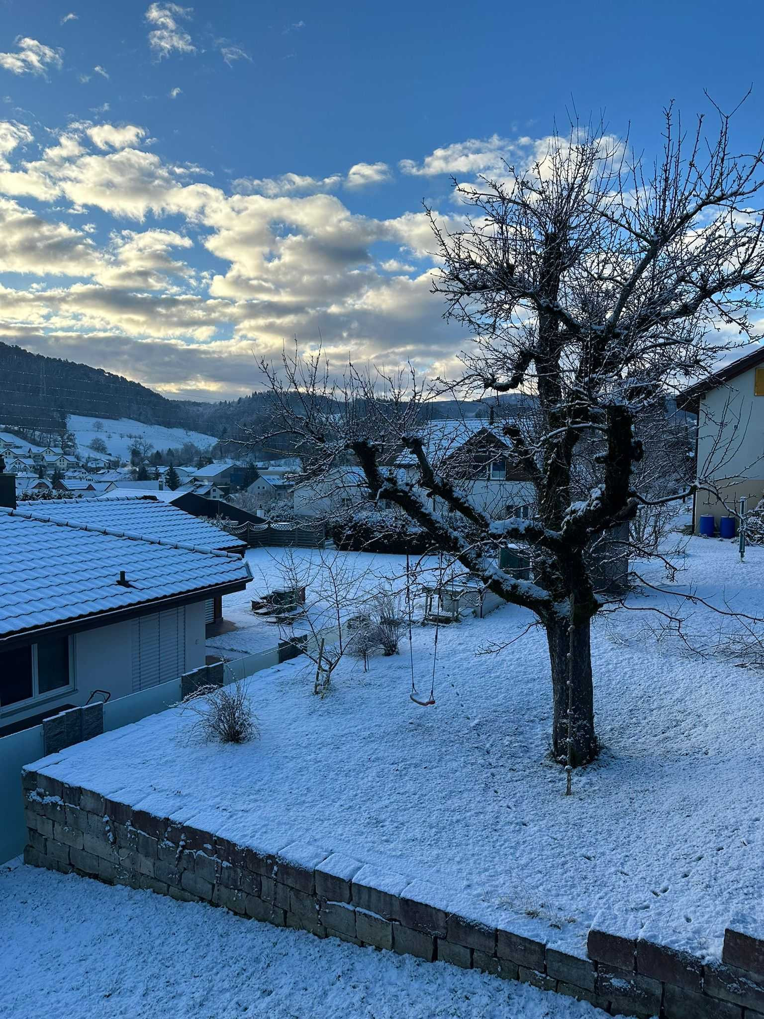 Erster Schnee in der Region Basel gefallen