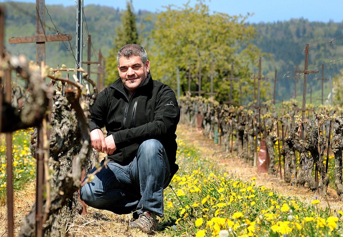 Concours vineux: Philippe Bovet, champion du vin vaudois | Tribune de ...