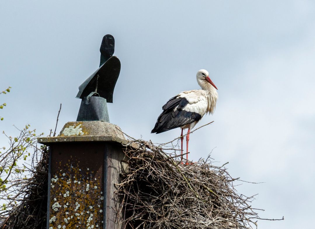 Kämpfende Frauen – Was ist dran an der Sage der Wikinger-Kriegerin ...