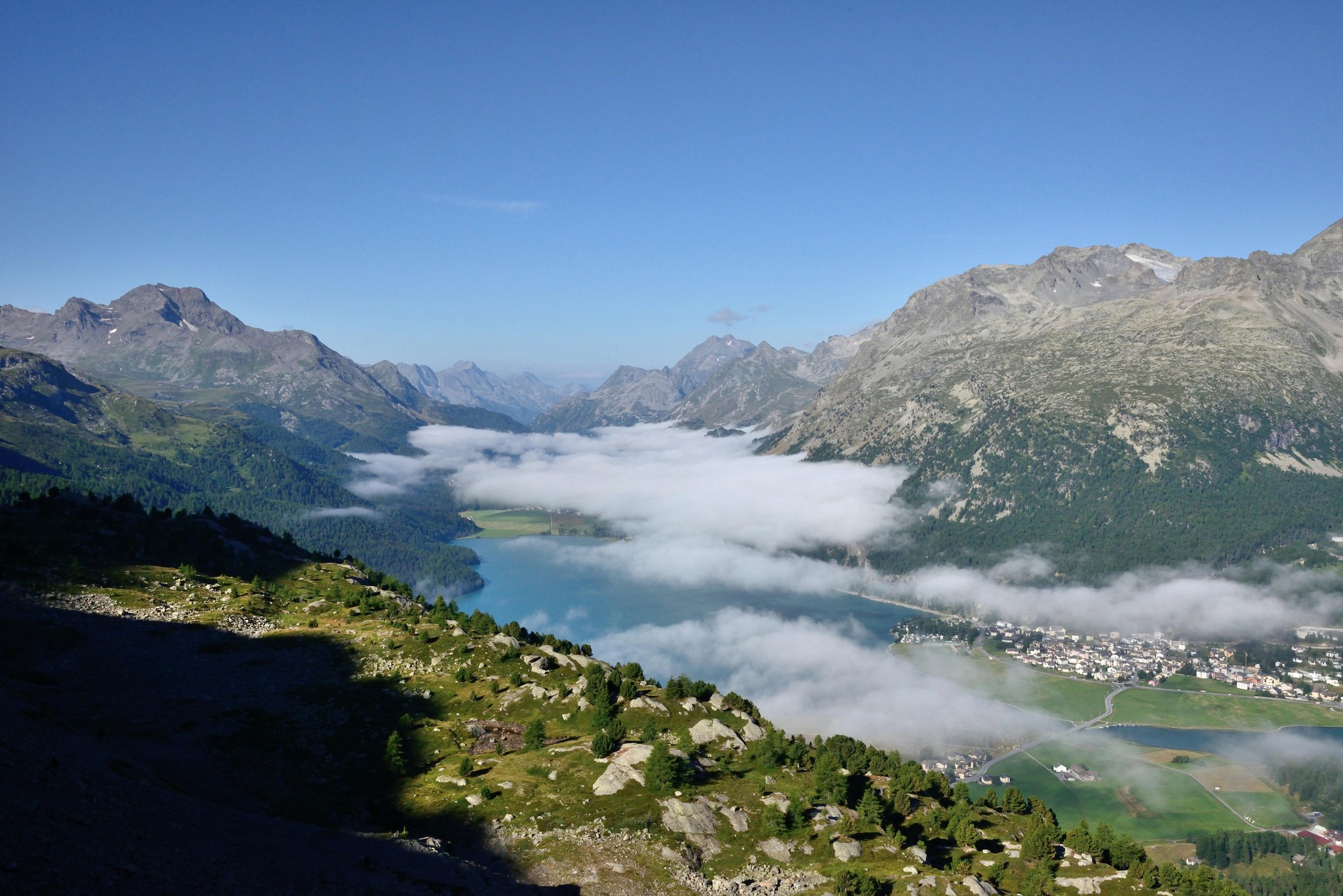 Aufgefallen in Maloja: Die Schlange im Engadin | Finanz und Wirtschaft