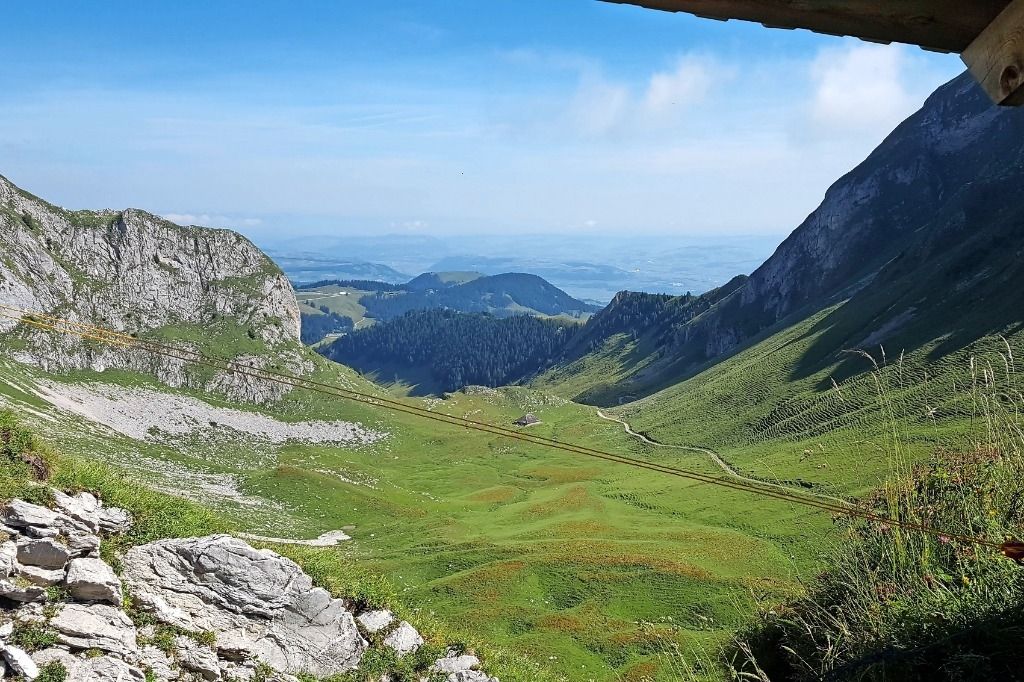 «Ein trauriger, dummer Zufall» | Berner Zeitung