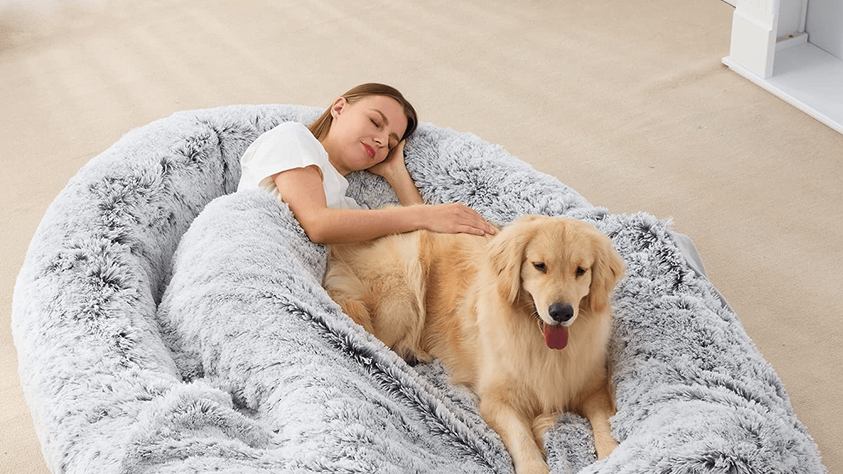 Tendance : Buzz de Noël autour du «panier pour humain» - L'essentiel