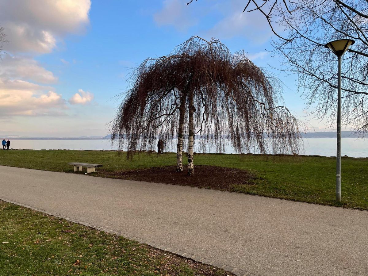 Météo – Neuchâtel plus ensoleillée que La Chaux-de-Fonds! - Le Matin