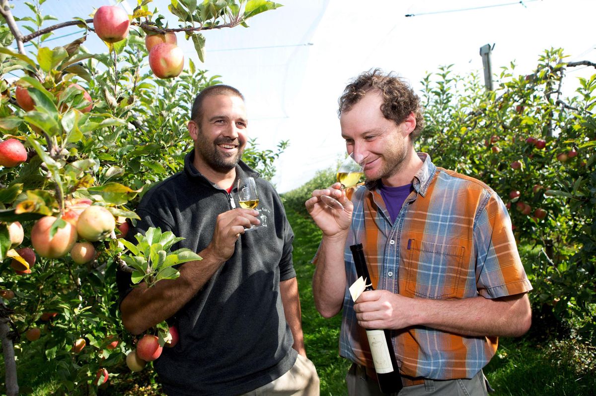 Artisanal et tendance, le cidre revient comme une star en gastronomie ...