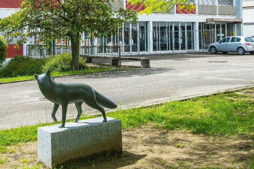 Deux élèves du Cycle du Renard ont été blessés par des pétards ...