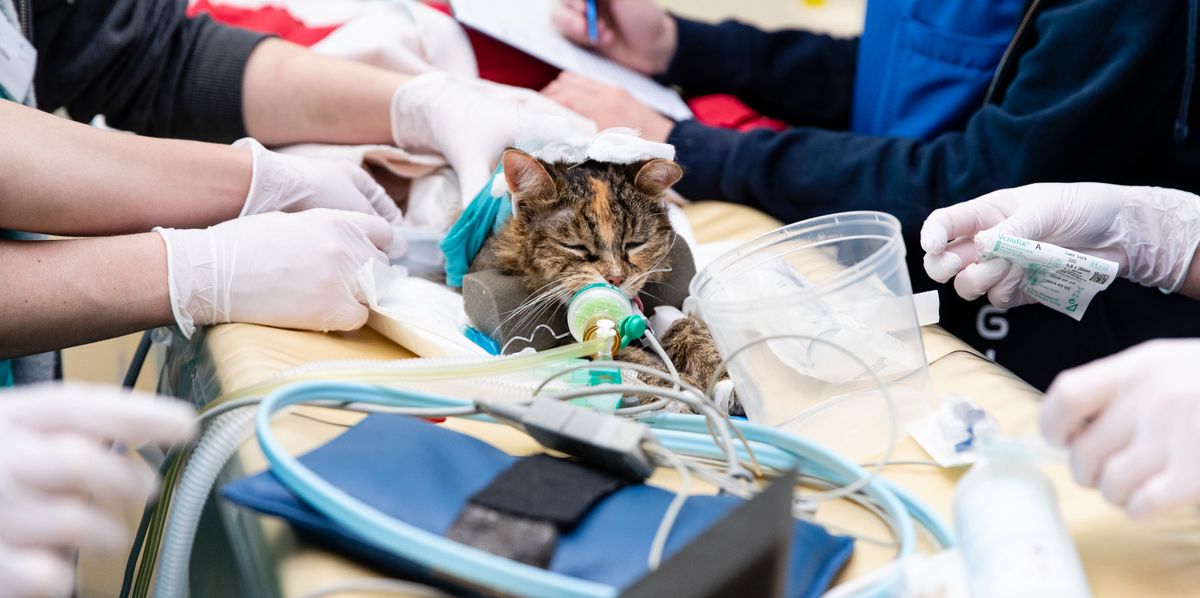 Bern | Berner Zeitung