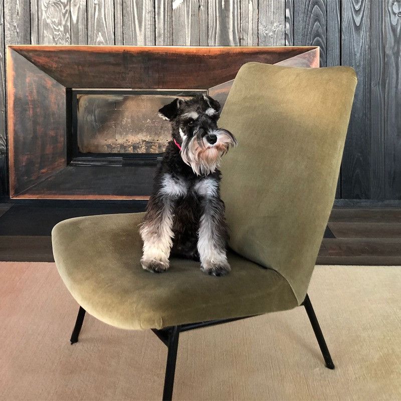 Marché de l’art: Le Salon du Design revient à Genève chez Sicli | Bilan