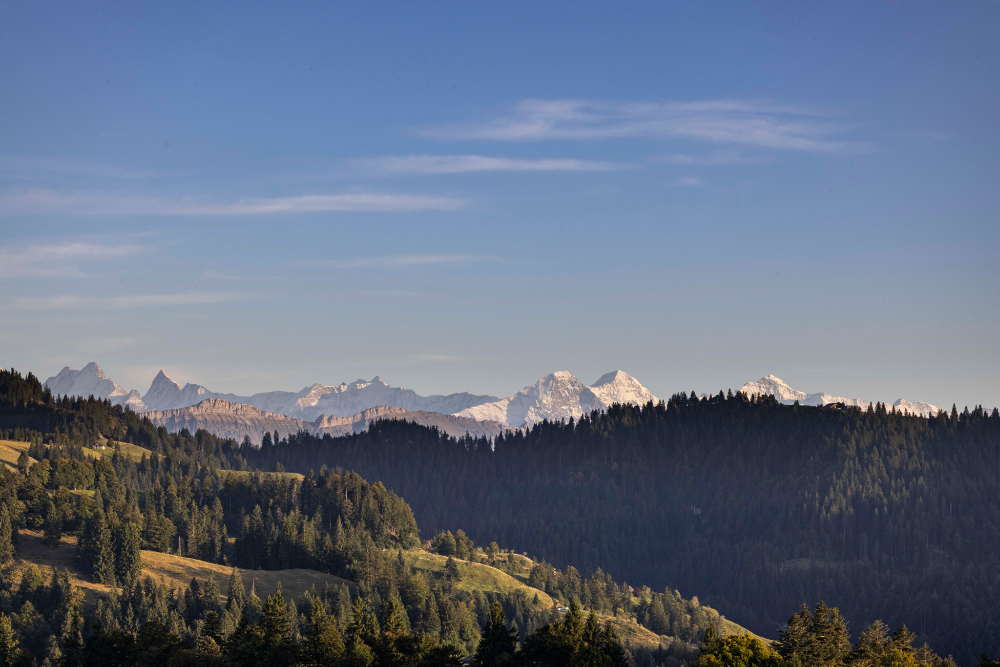 Pahindot teen pinay came across Rose's ad in Ft Collins and