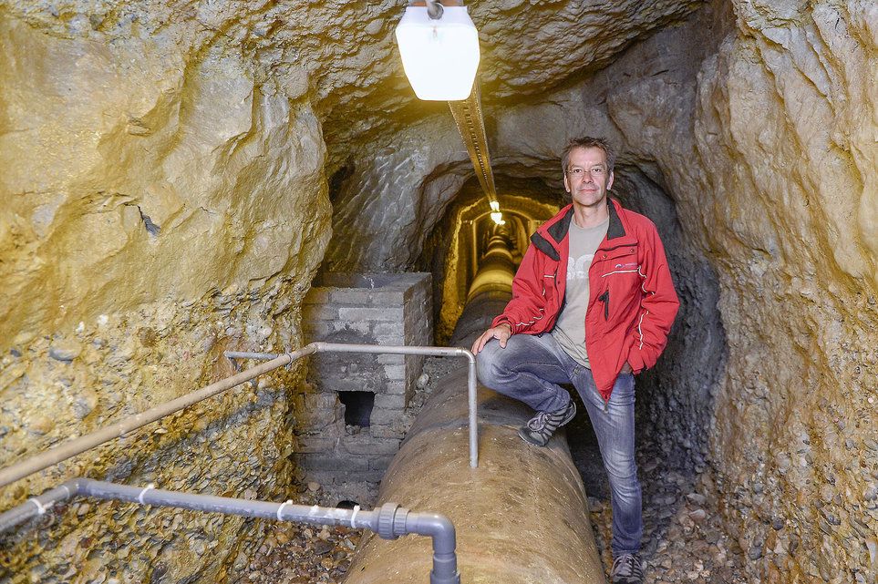 Solange die Fische leben, ist die Wasserqualität gut | Berner Oberländer