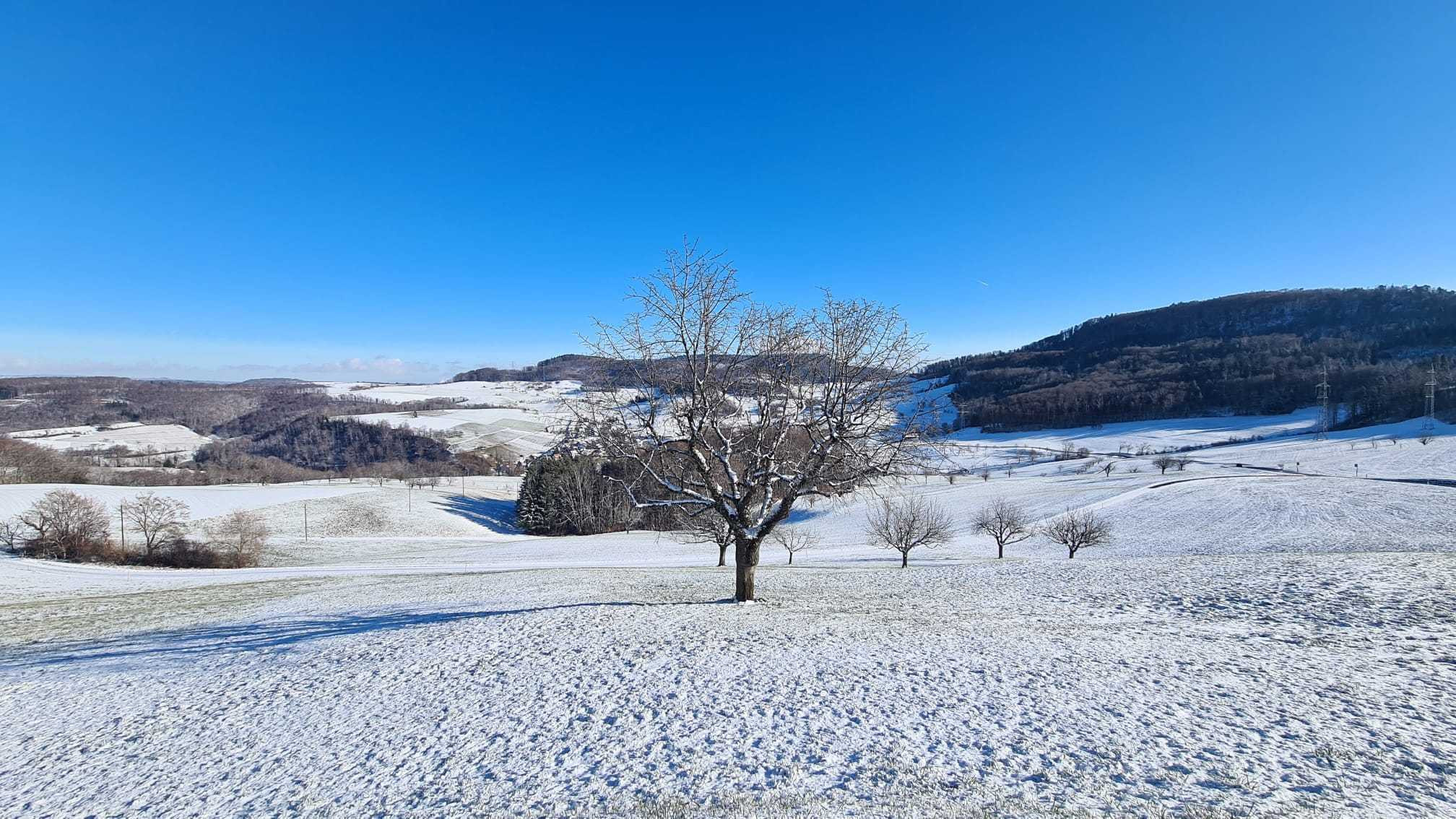 Erster Schnee in der Region Basel gefallen