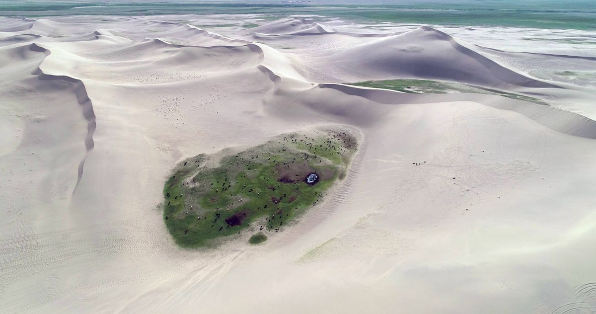 CO2-Emissionen wegen Ukraine-Krieg: Forscher berechnen Fussabdruck ...